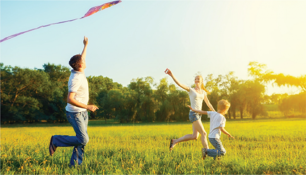 The Felix Land - Bích Động - Real Estate Investment